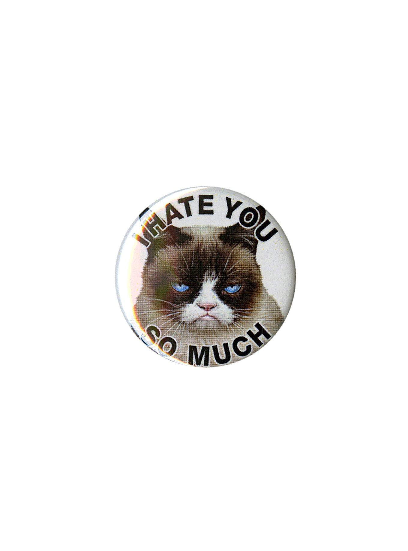 Grumpy Cat Meme I Hate You