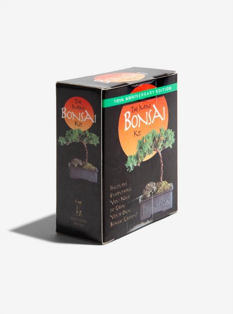 The Original Mini Bonsai Kit | BoxLunch