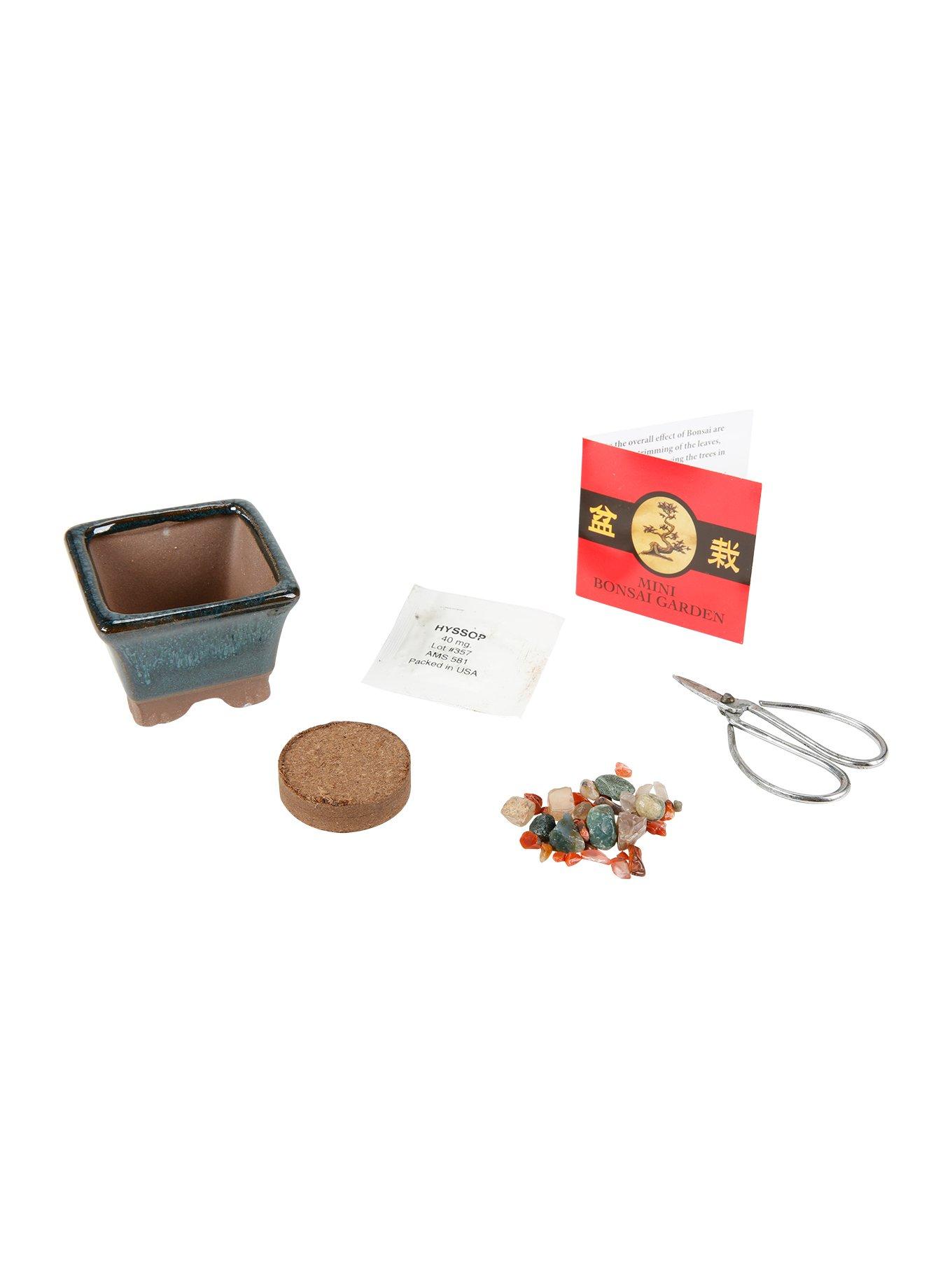 Mini Bonsai Garden | Hot Topic