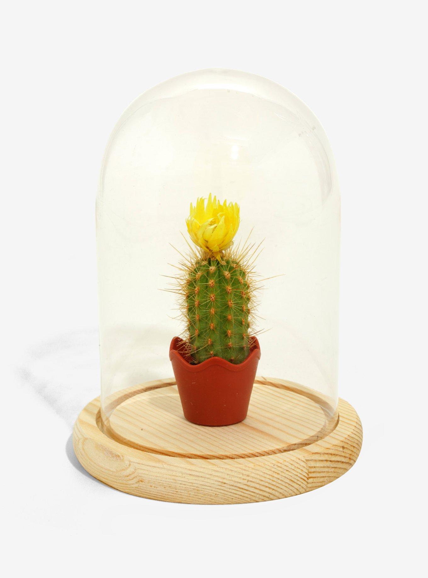 Large Bell Jar | BoxLunch