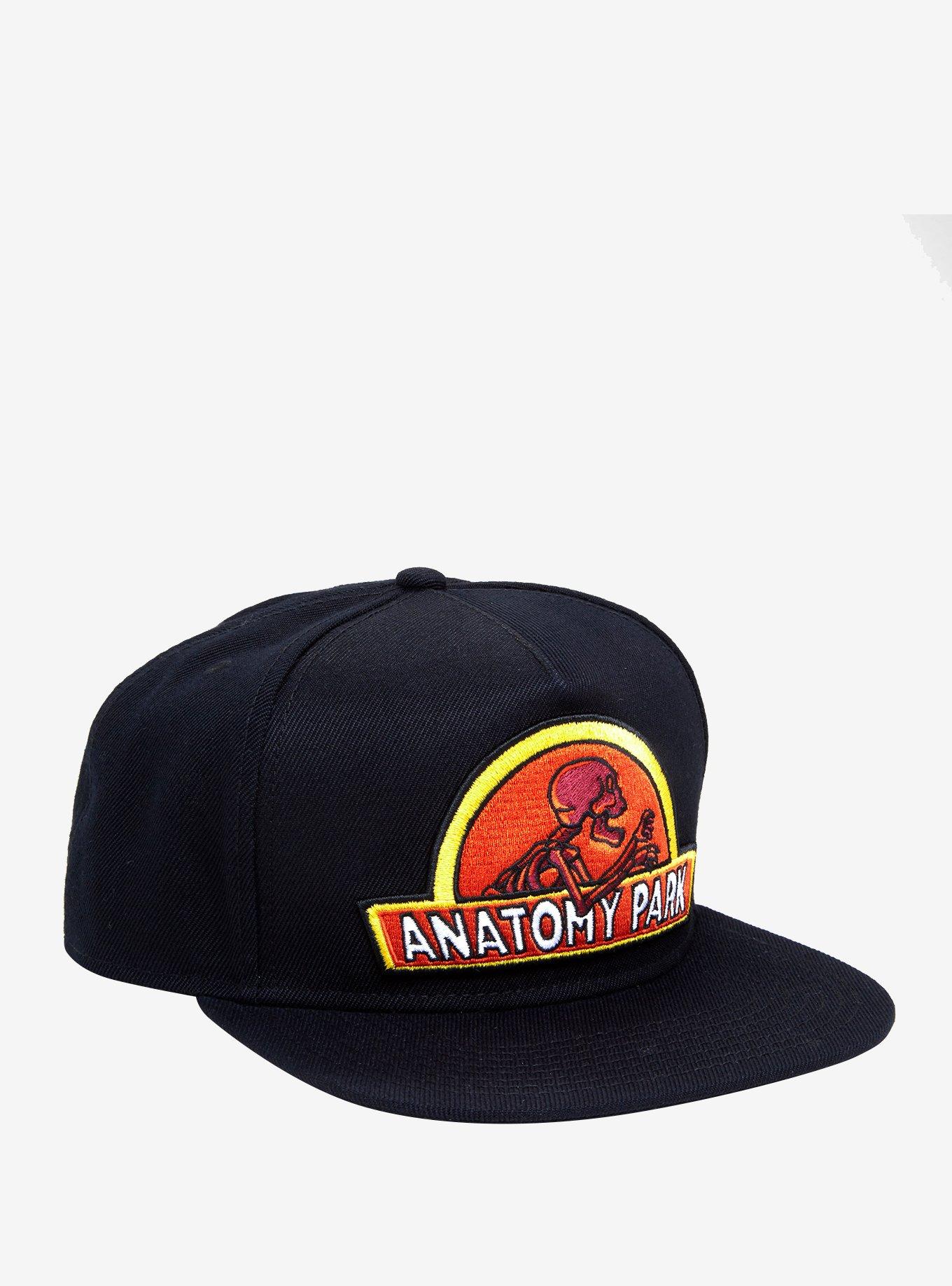 Rick And Morty Anatomy Park Snapback Hat | Hot Topic