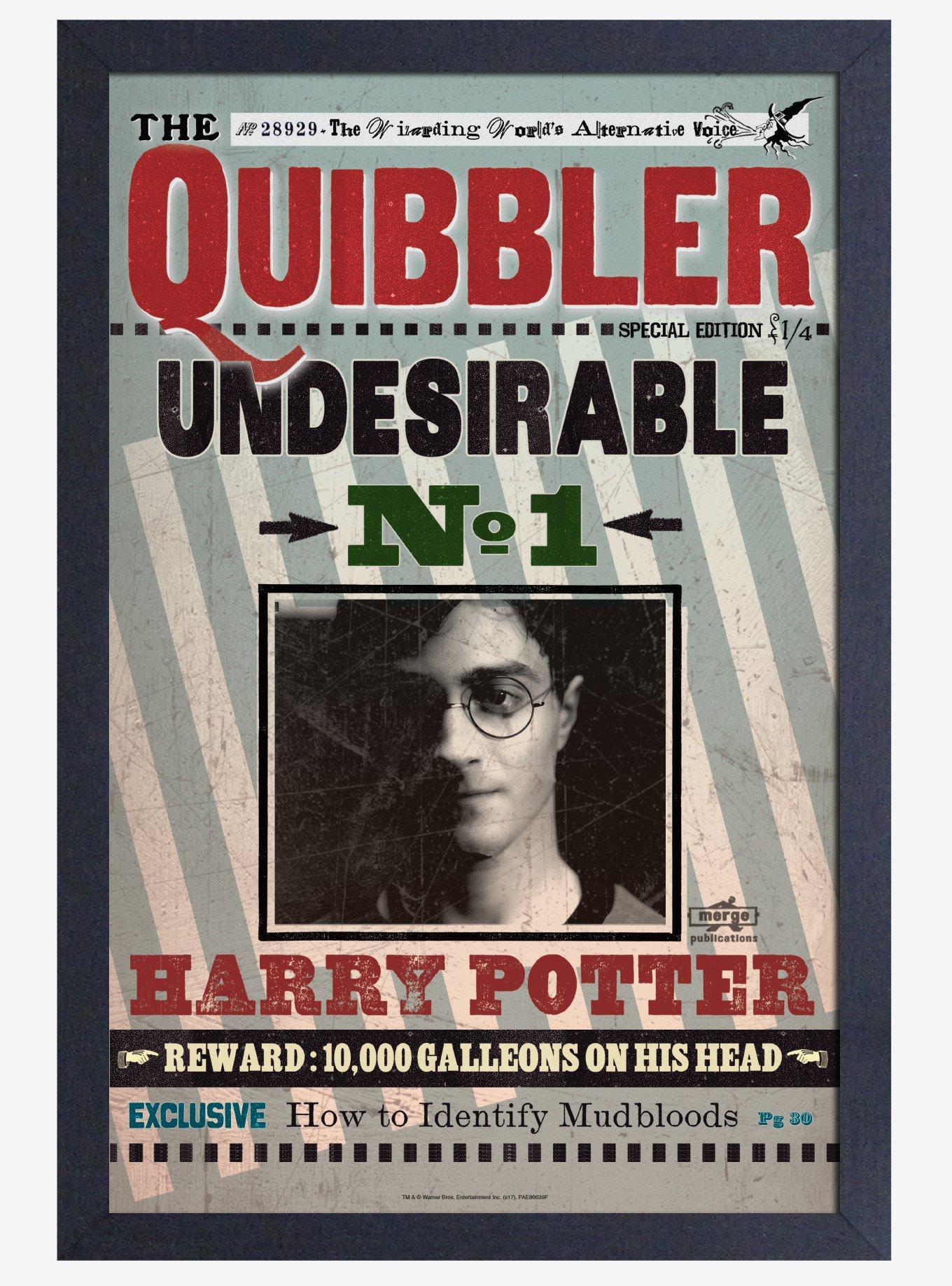 Harry Potter Harry Undesirable No 1 Poster | BoxLunch