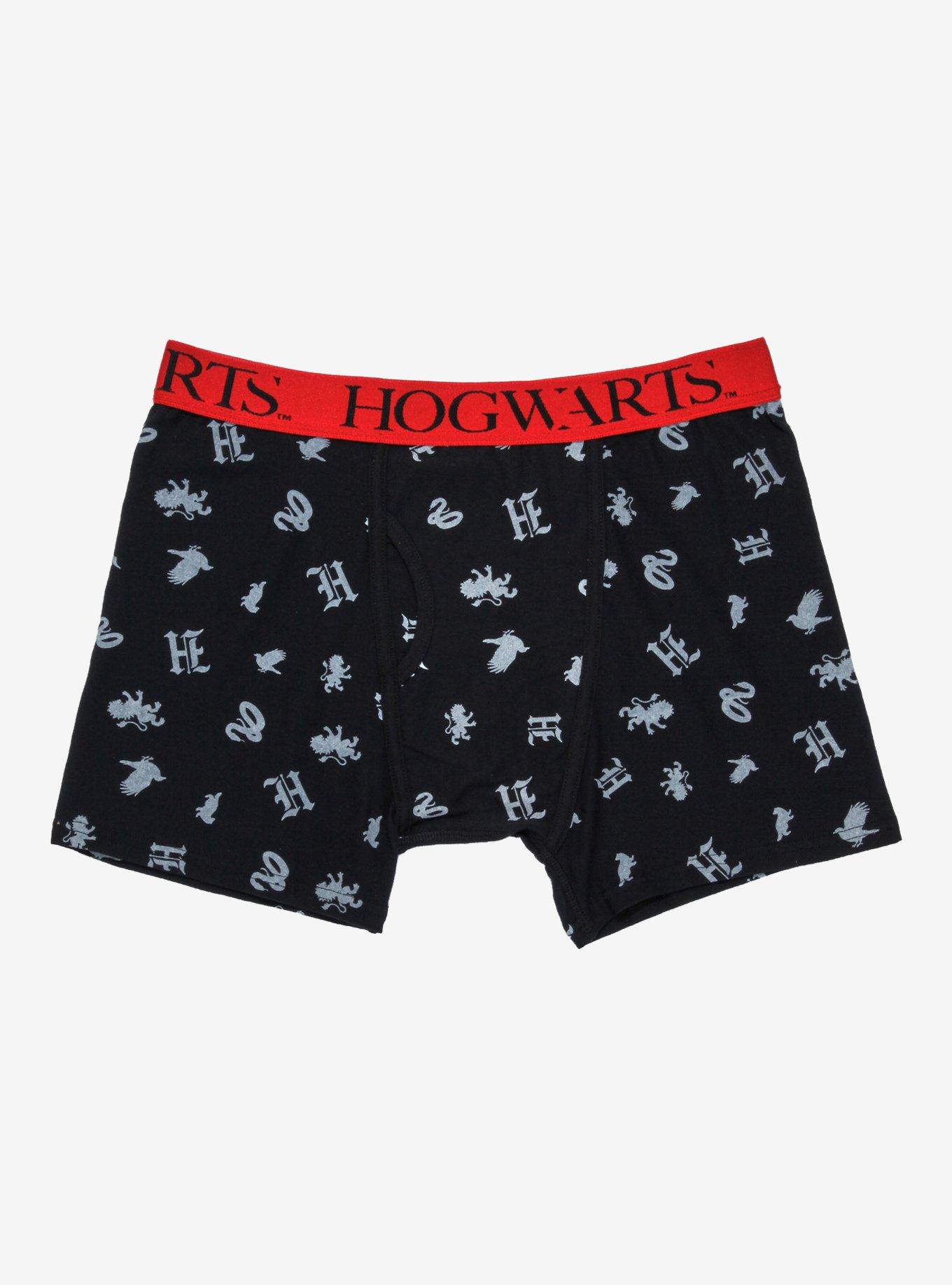 Harry Potter Hogwarts Icon Boxer Briefs | Hot Topic