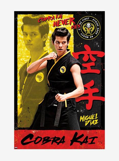 Cobra Kai Miguel Poster | Hot Topic