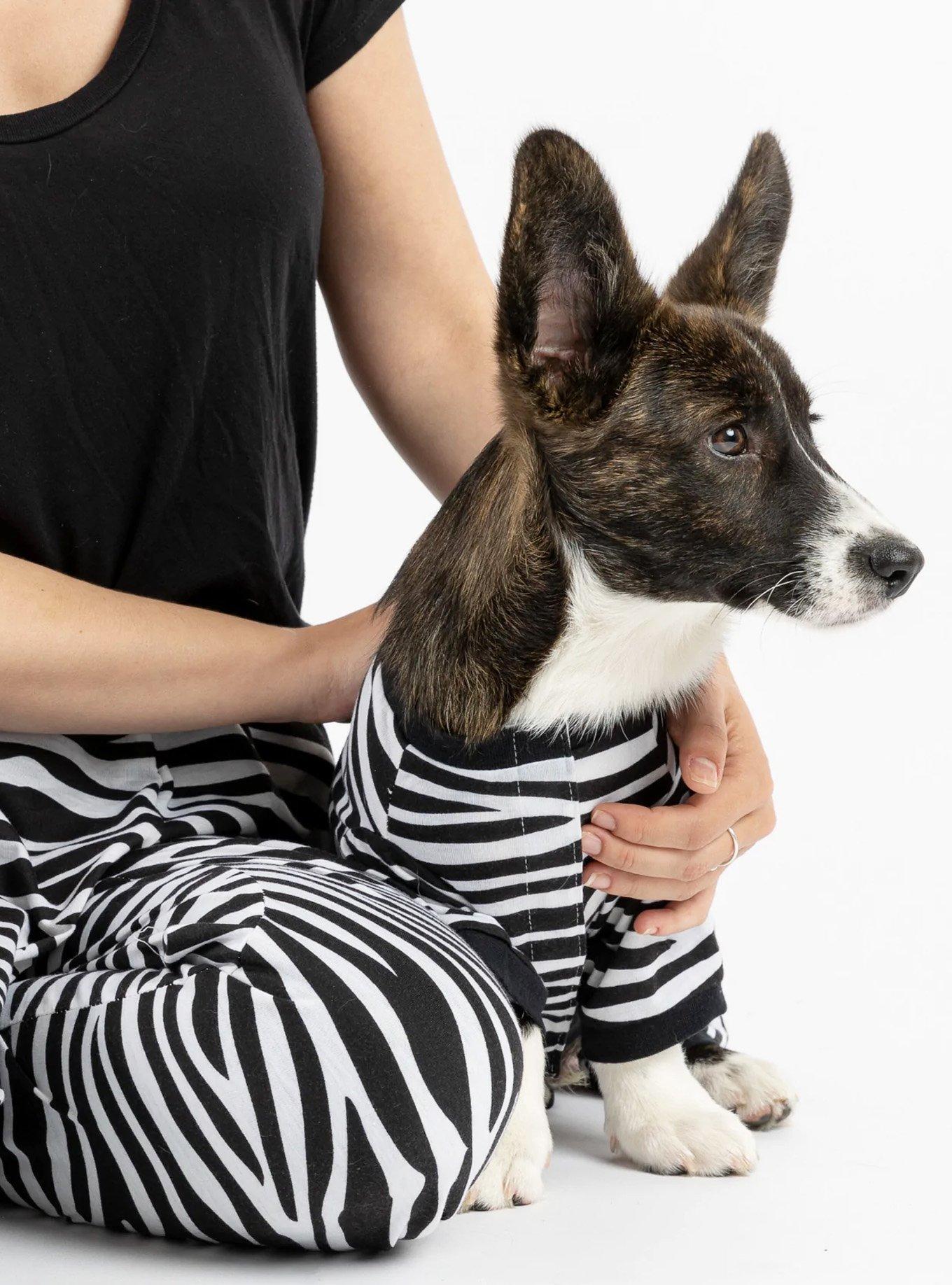 Matching Zebra Human & Dog Pajama | Hot Topic