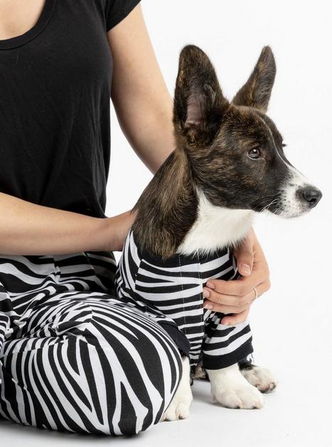 Matching Zebra Human & Dog Pajama | Hot Topic