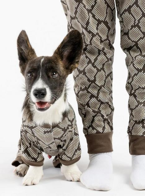 Matching Snakeskin Human & Dog Pajama | BoxLunch