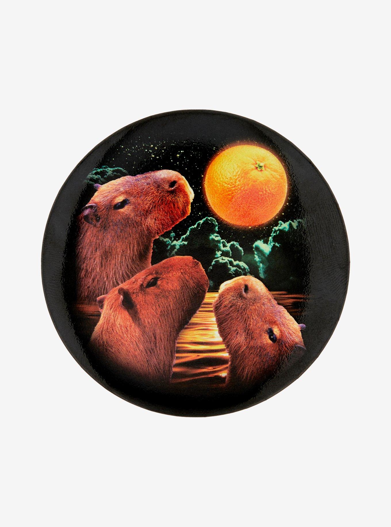 Hot Topic Capybara Trio Orange 3 Inch Button | Hamilton Place