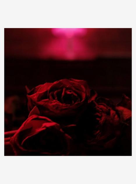 Paper Kites Roses Vinyl LP | Hot Topic