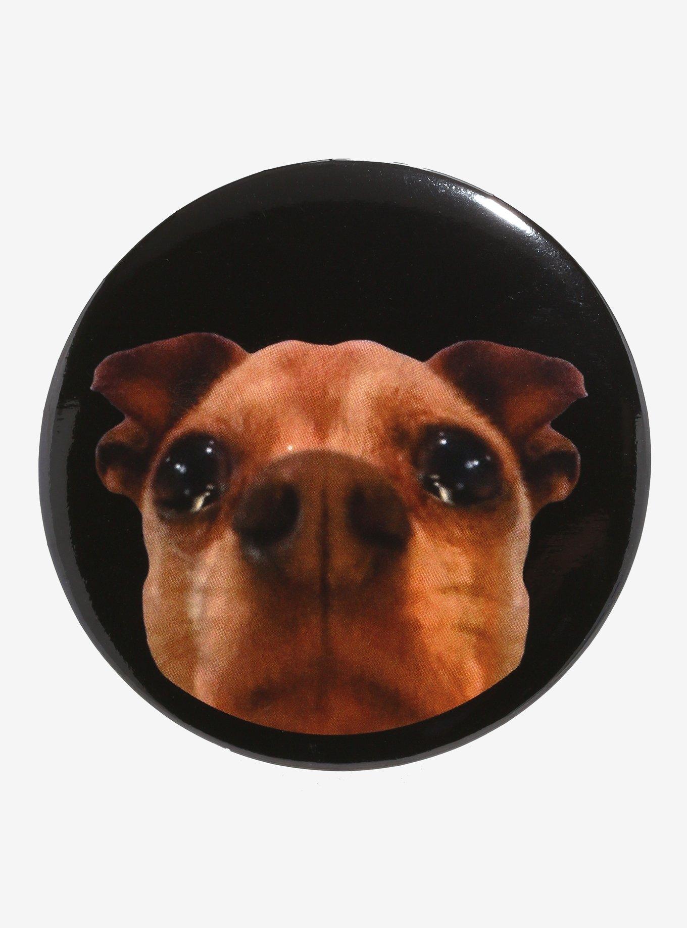 Sad Dog 3 Inch Button | Hot Topic