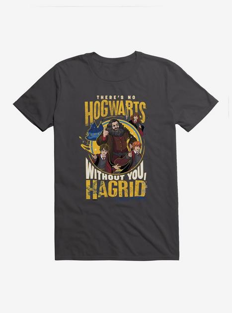 Harry Potter Hagrid T-Shirt - GREY | BoxLunch