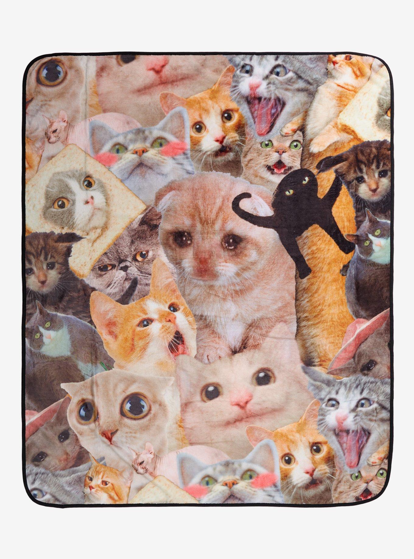 Dead Cat Meme Pictures
