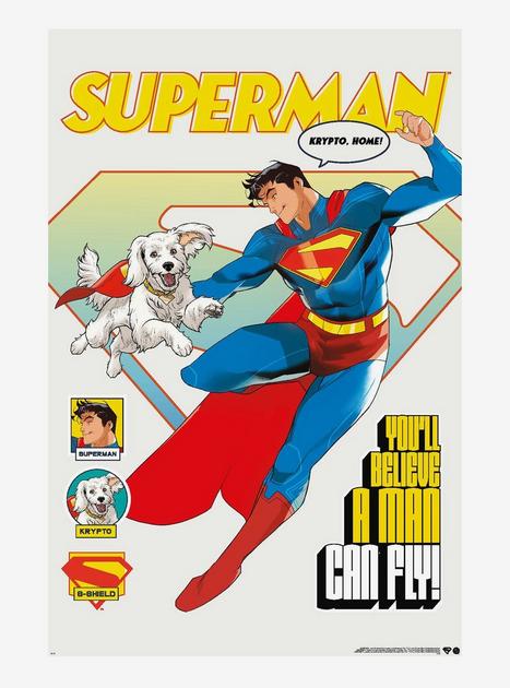 DC Comics Superman & Krypto Poster | Hot Topic