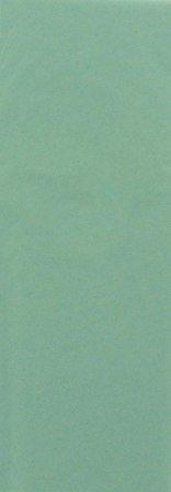 Seaman Paper Co., Tissue Paper, Mint Green, 20 x 20 inches, 8 sheets ...