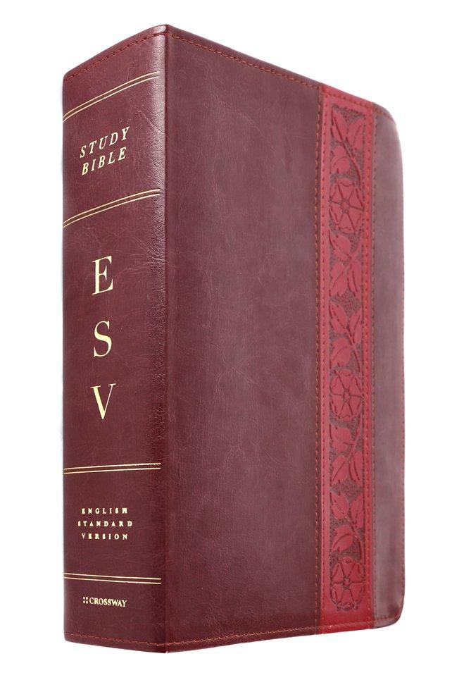ESV Study Bible, Large Print, TruTone, Multiple Colors Available ...