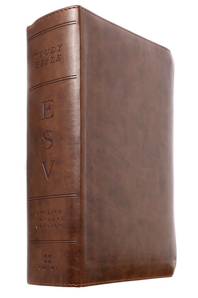 ESV Study Bible, Personal Size, TruTone, Brown | Mardel | 3360872