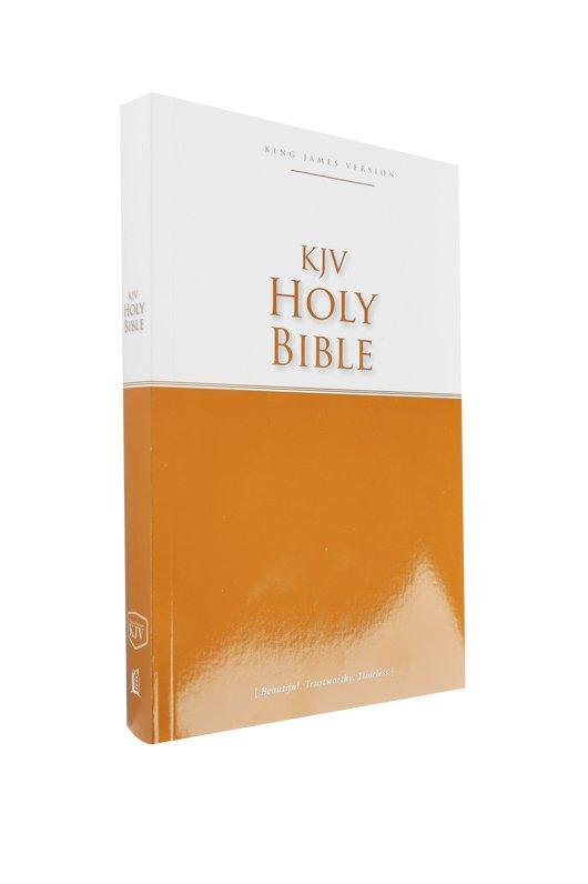 KJV Economy Outreach Bible, Paperback | Mardel | 3568359