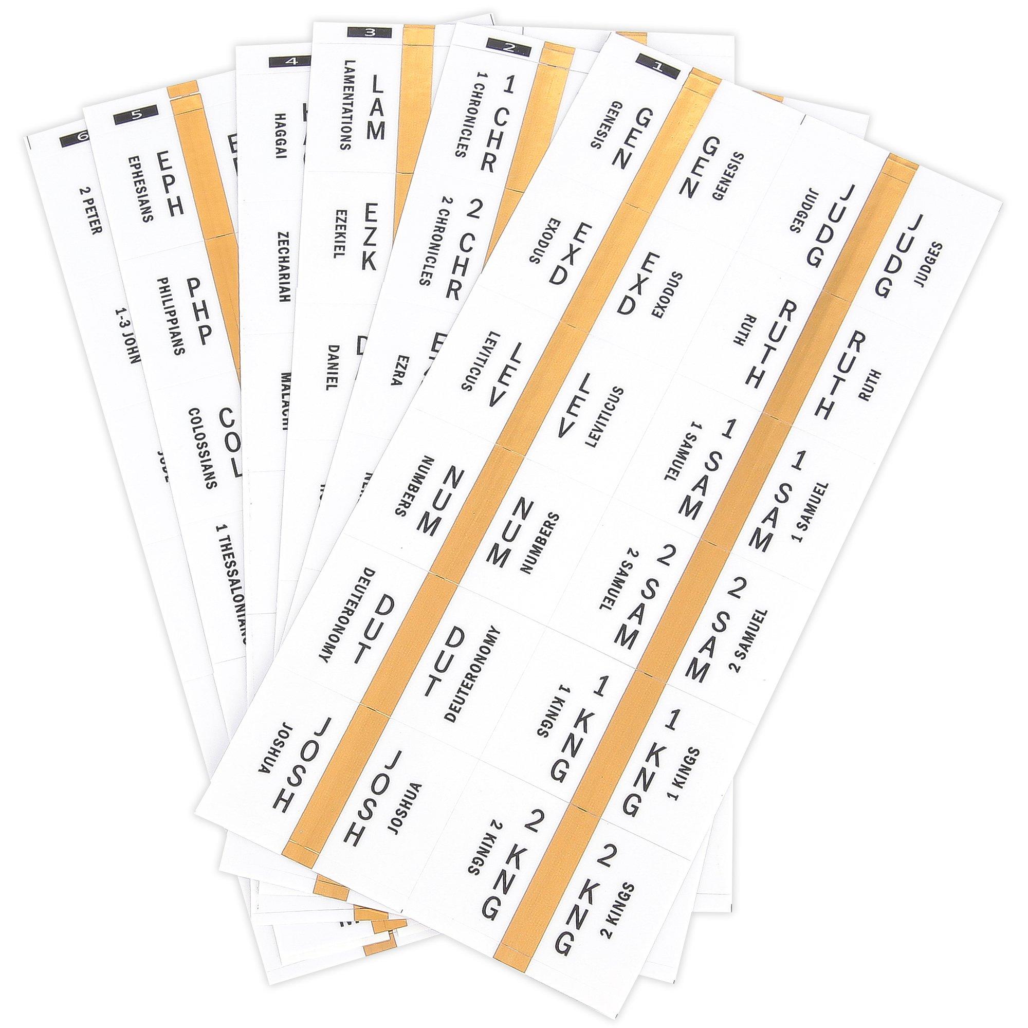 Salt & Light, Large Vertical Bible Tabs, Gold, 72 Tabs | Mardel | 3610698