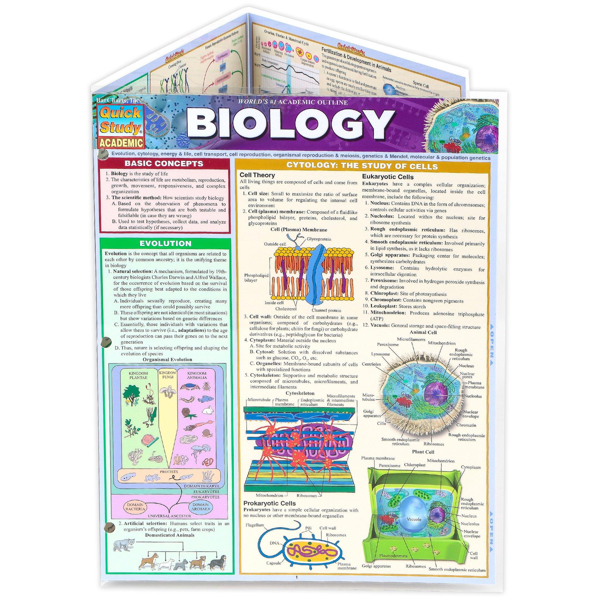 BarCharts Biology Laminated Quick Study Guide, Grades 5-12 | Mardel ...