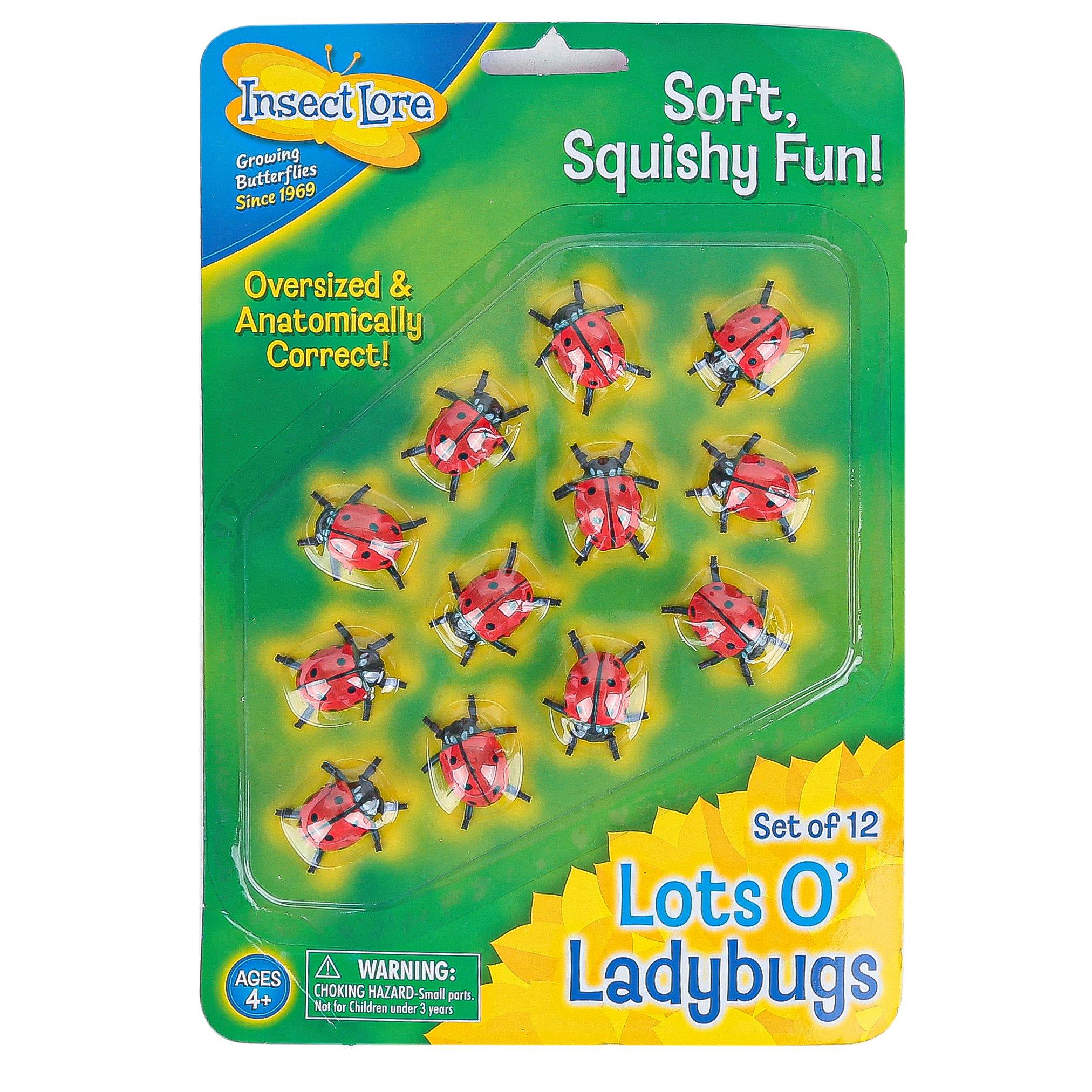 Lots O' Ladybugs, 12 Pieces | Mardel | 3820495