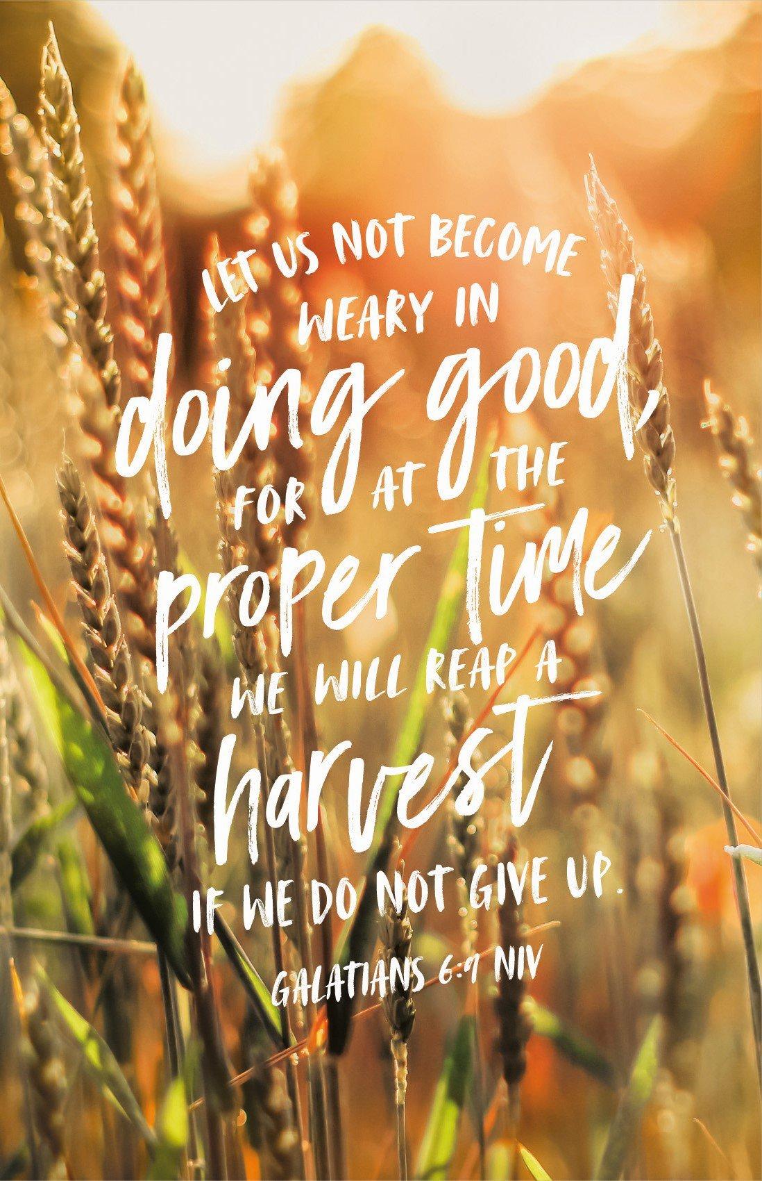 Fall Church Bulletins - Church Bulletins - Church | Mardel