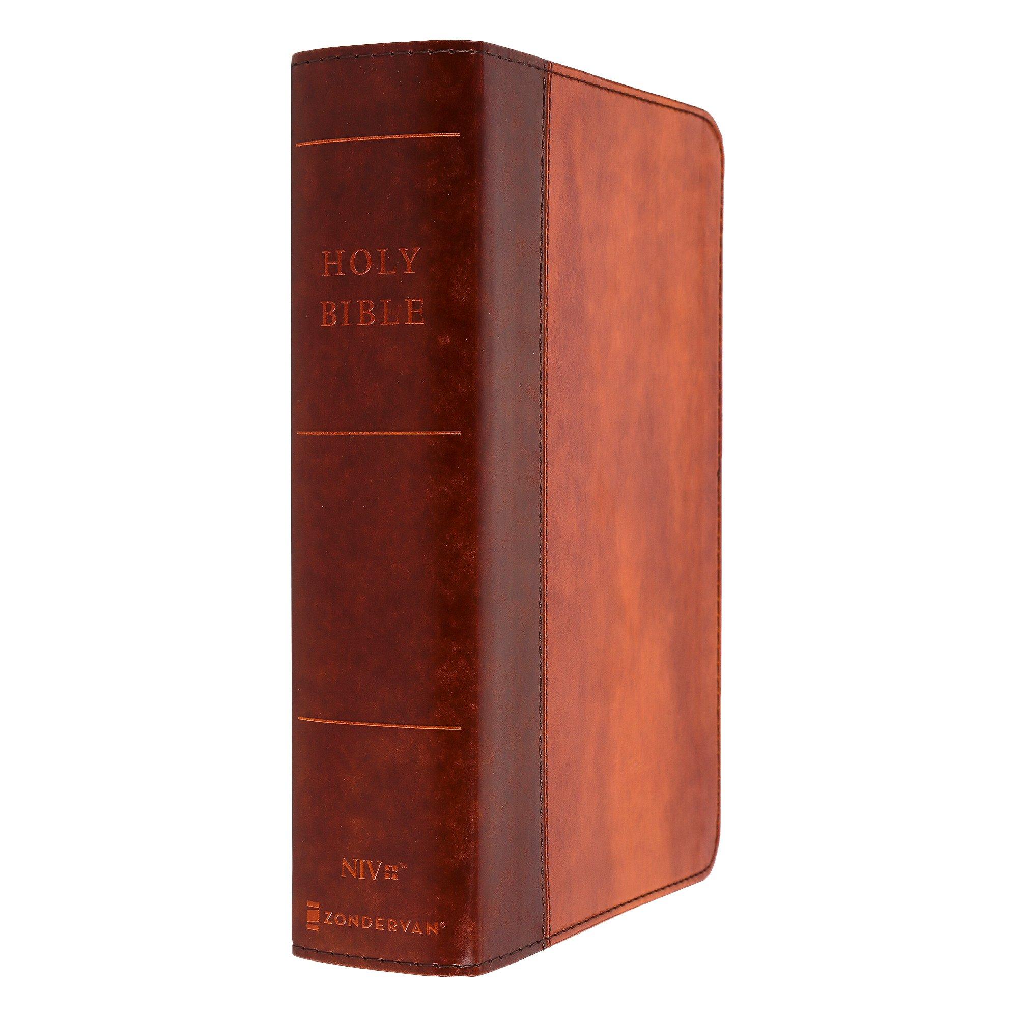 NIV Giant Print Compact Bible, Imitation Leather, Brown | Mardel | 3860087