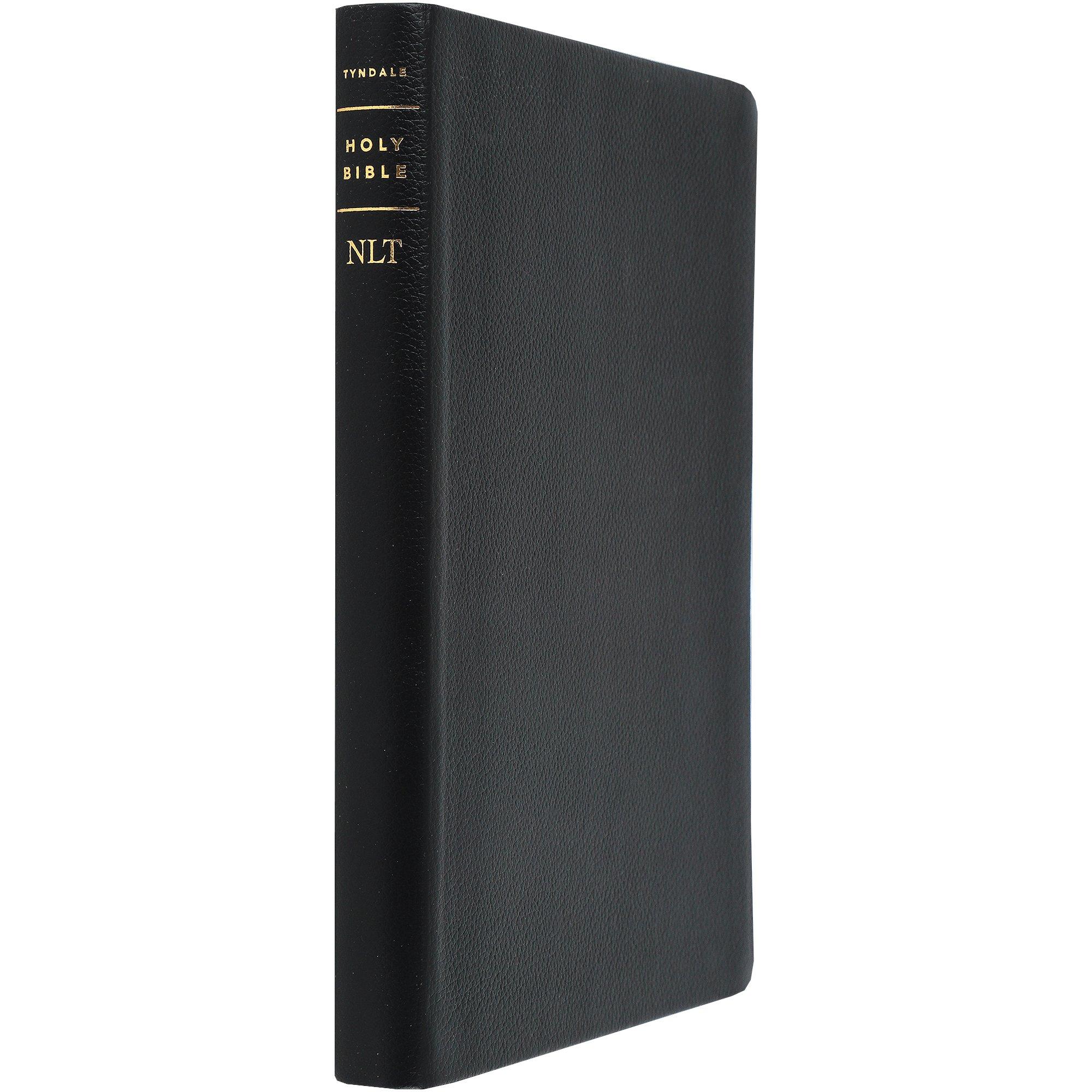 NLT Filament Thinline Large Print Reference Bible, Genuine Leather ...