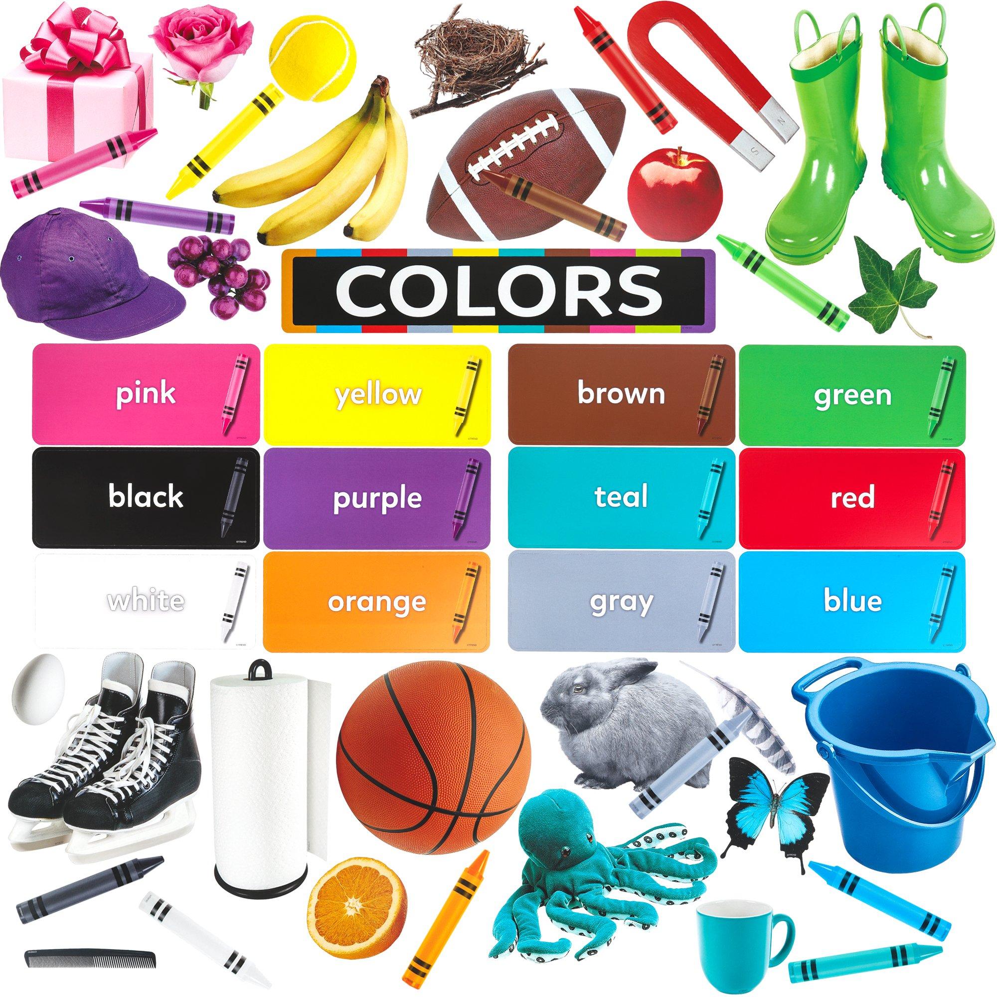 Colors All Around Us Learning Bulletin Board Set, 49 Pieces | Mardel ...