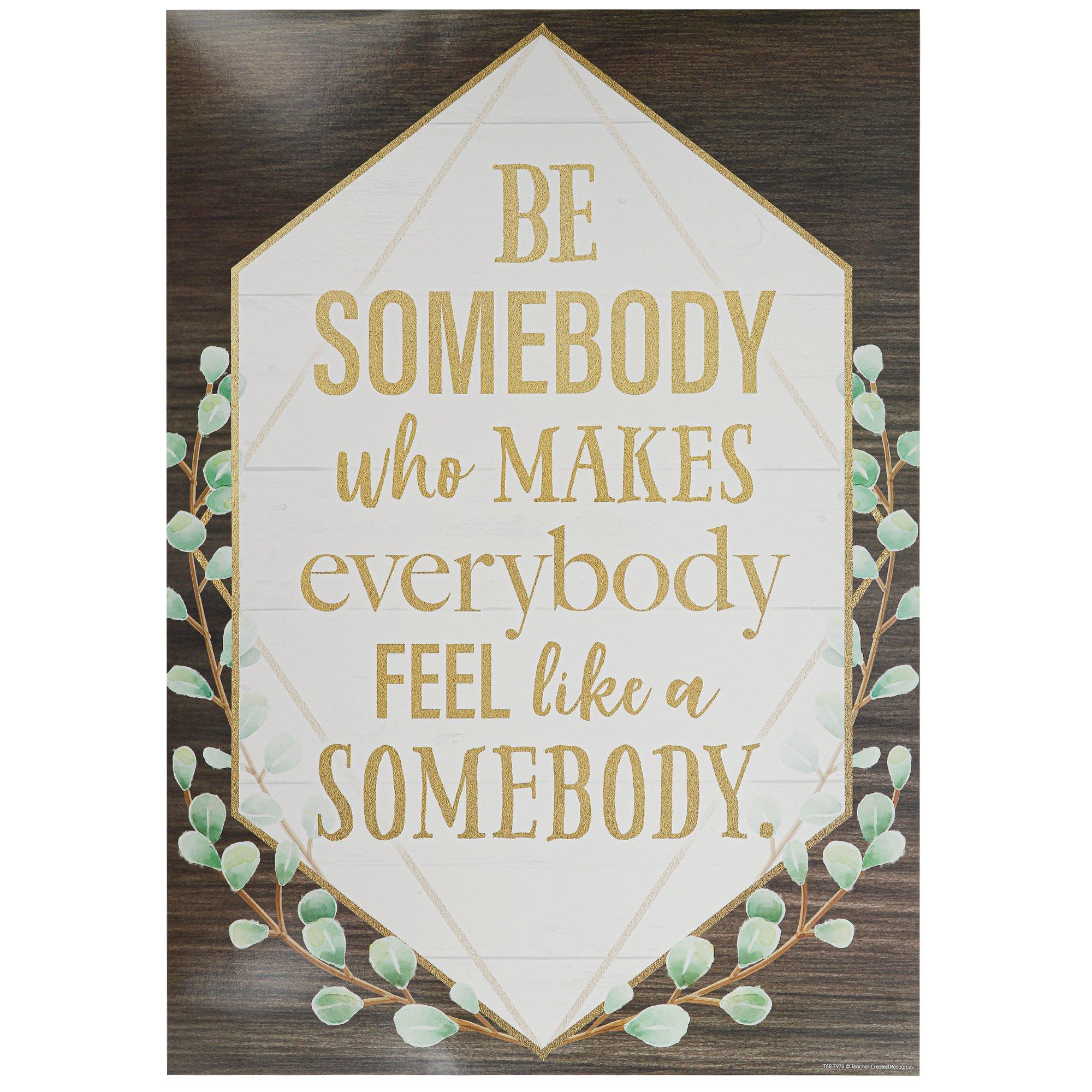 Be Somebody Who Makes Everybody... Positive Poster 13 x 19 Inch 1 Each ...