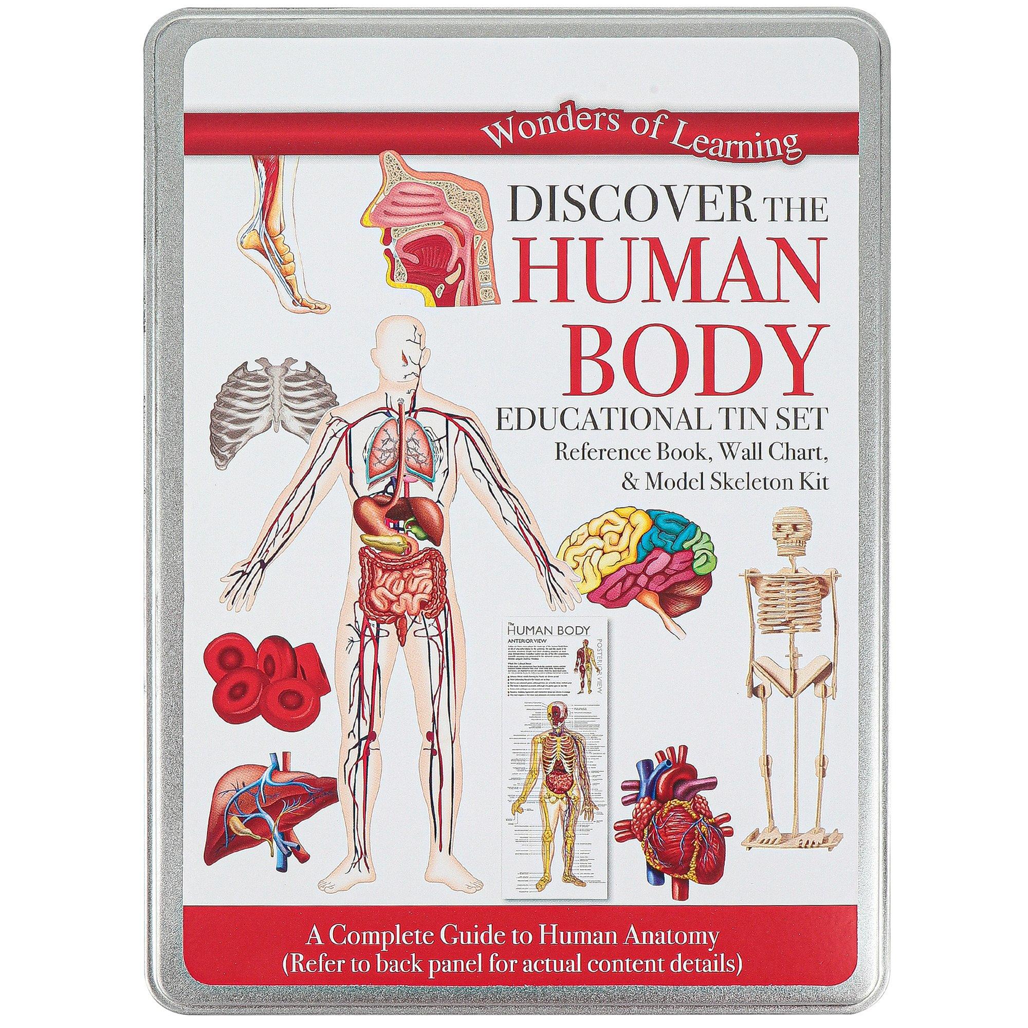 Discover The Human Body Tin Set, 3 Pieces, Grades K-8 | Mardel | 4008090