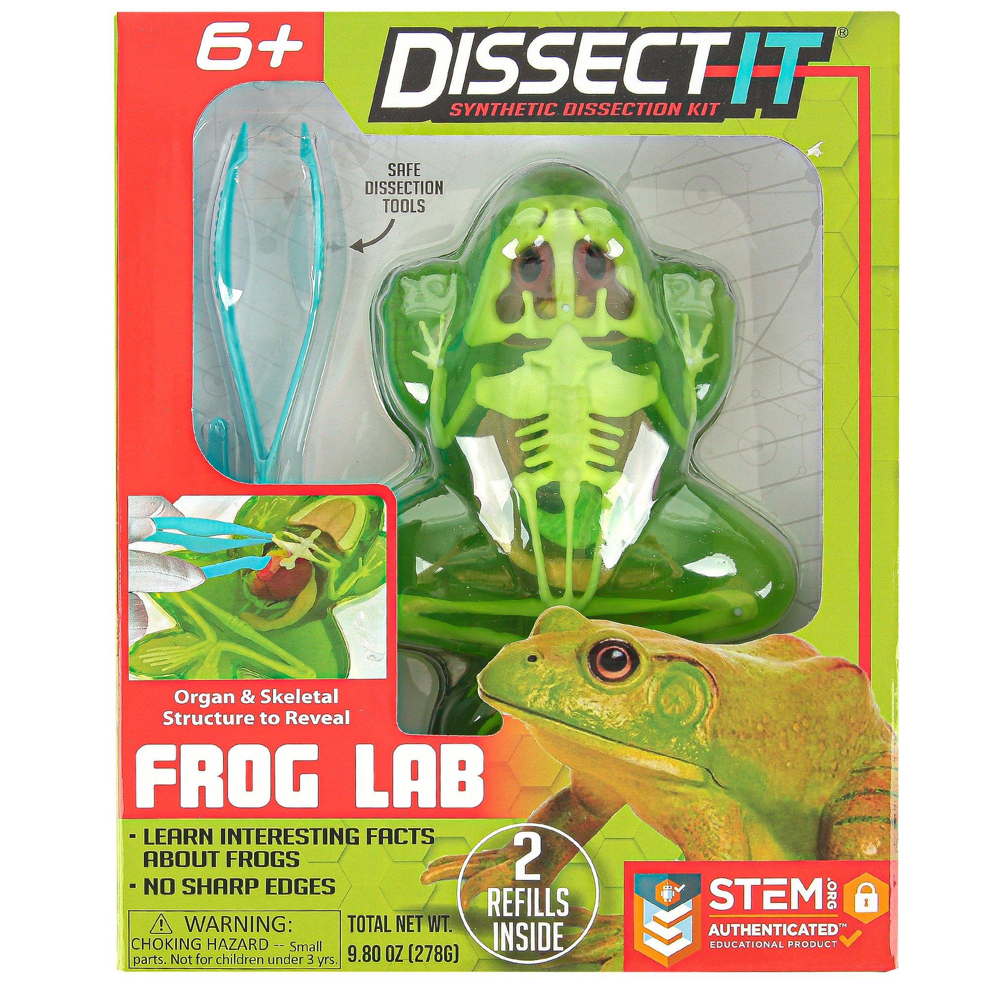Dissect It Synthetic Frog Dissection Kit, 7 Pieces, Ages 6 and Up ...