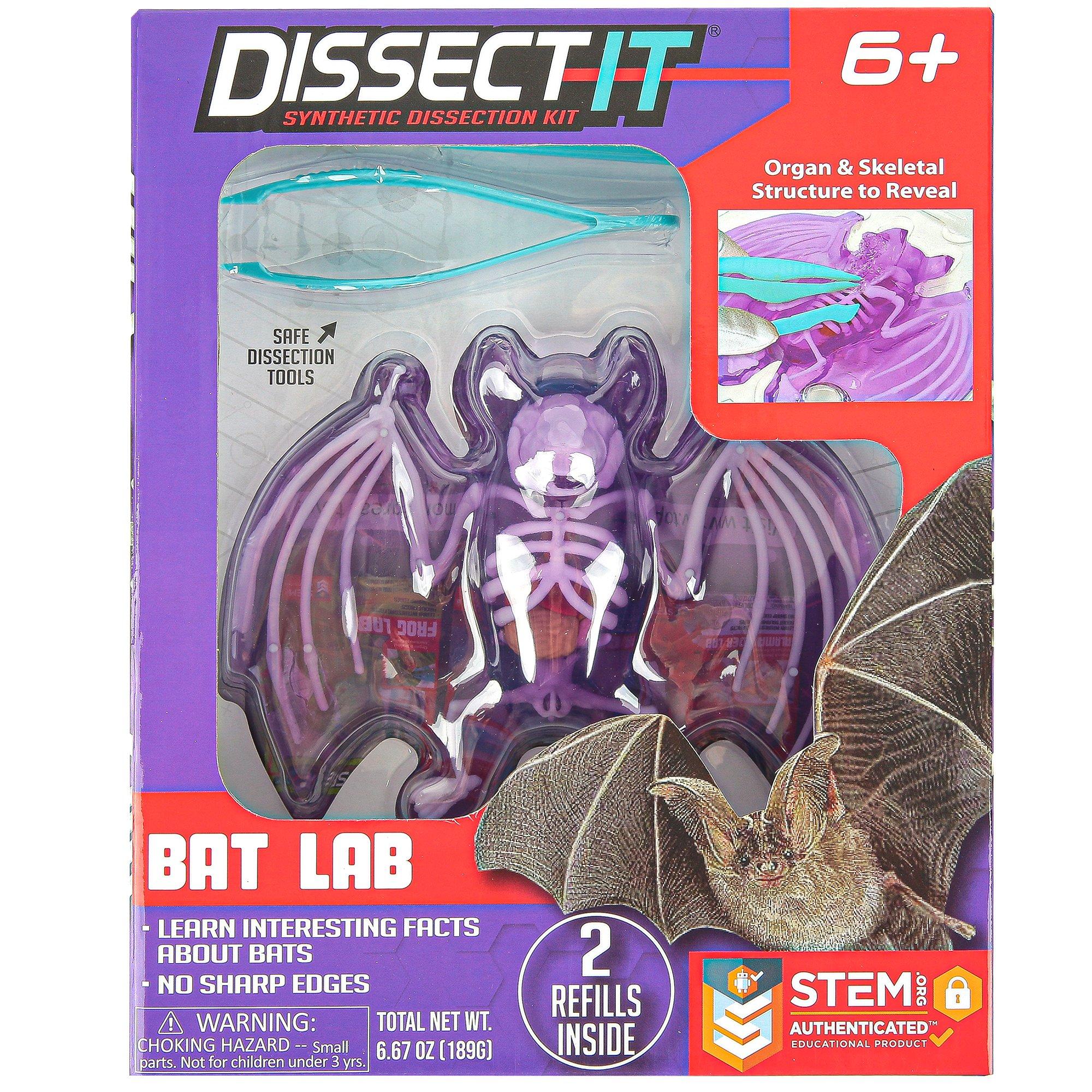 Dissect It Synthetic Bat Dissection Kit, 7 Pieces, Ages 6 and Up ...
