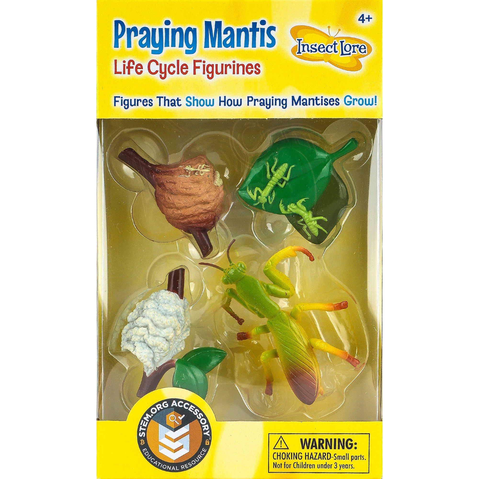 Praying Mantis Life Cycle Figures, Ages 4 and up | Mardel | 4050795