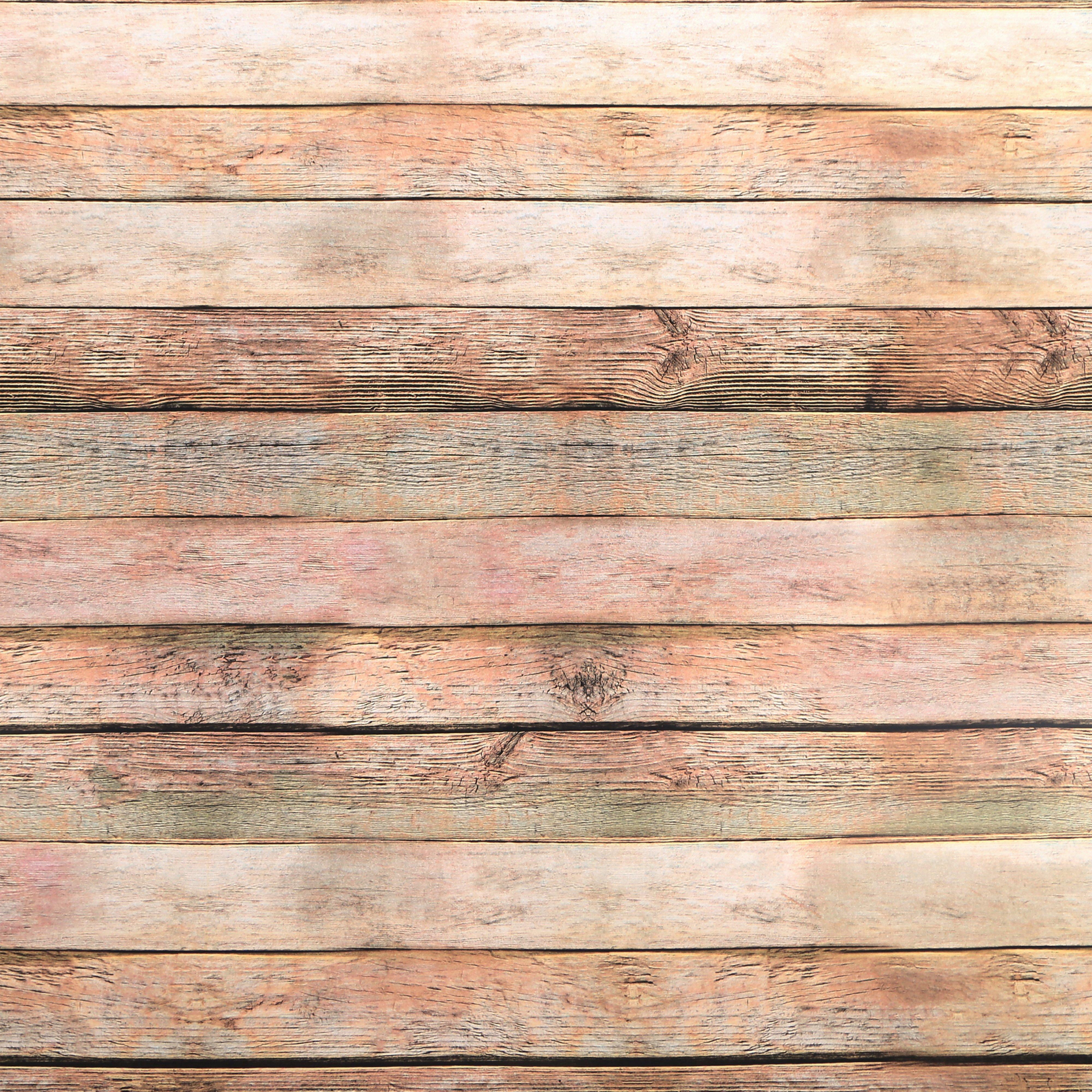 Renewing Minds, Rustic Wood Paper Roll, Multiple Sizes | Mardel | 1918788