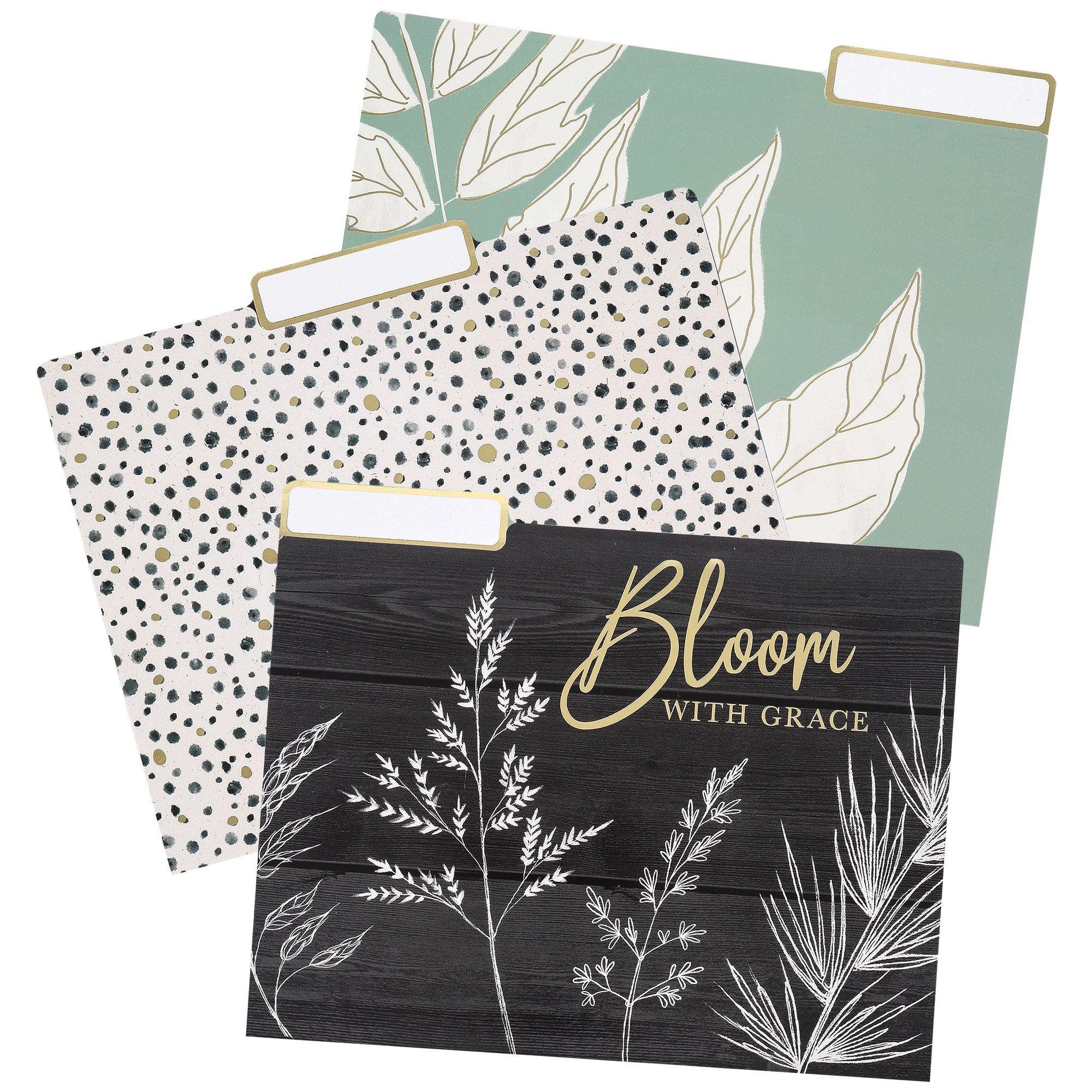 Renewing Minds, Organic Modern File Folders, 11 x 8 1/2 Inches | Mardel ...