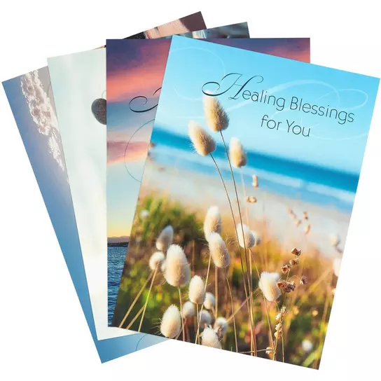 Seaside Sentiments NIV Assorted Boxed Cards, 12 count | Mardel | 4119137 Seaside Sentiments NIV Assorted Boxed Cards, 12 count | Mardel | 4119137