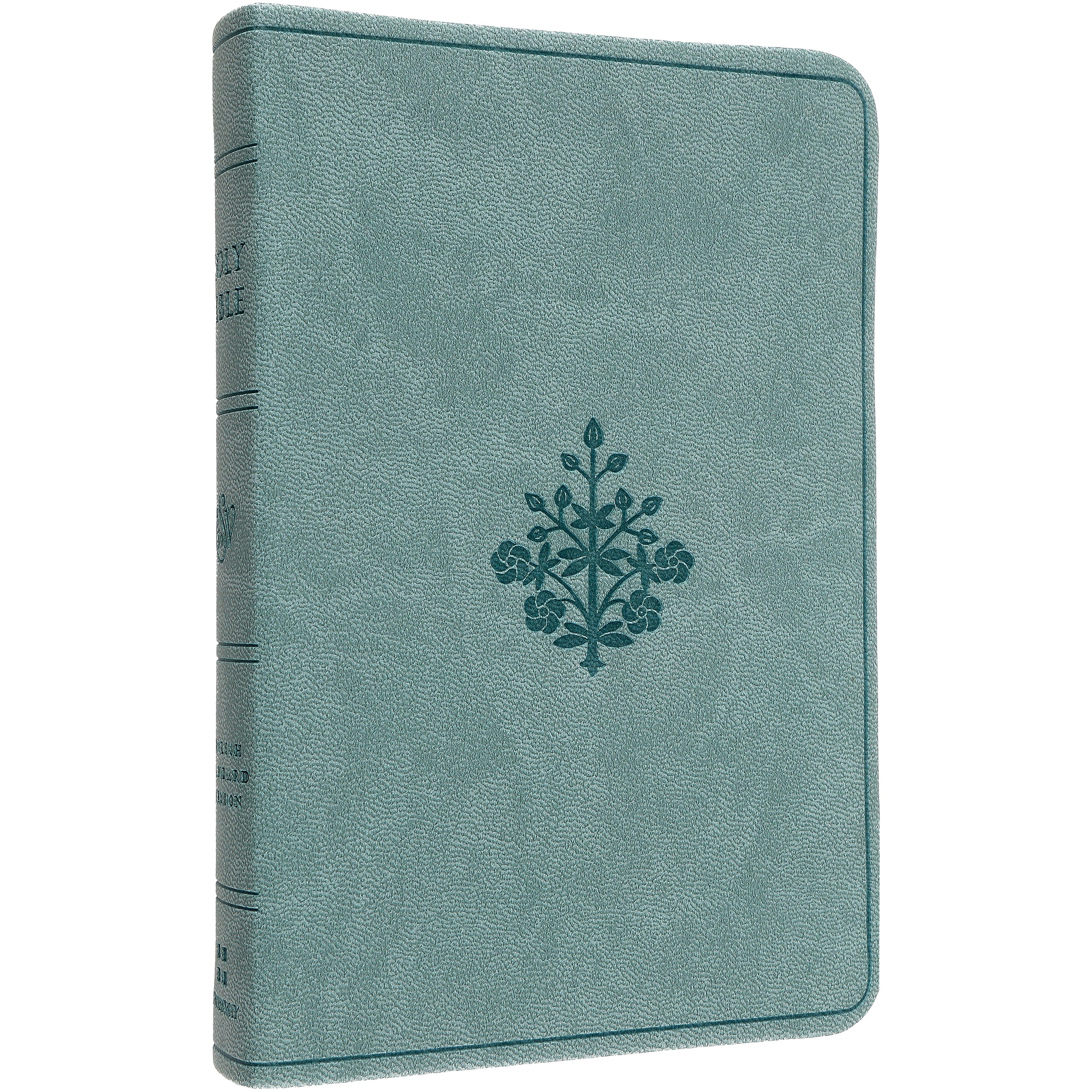 ESV Value Compact Bible, Imitation Leather, Teal | Mardel | 4135265