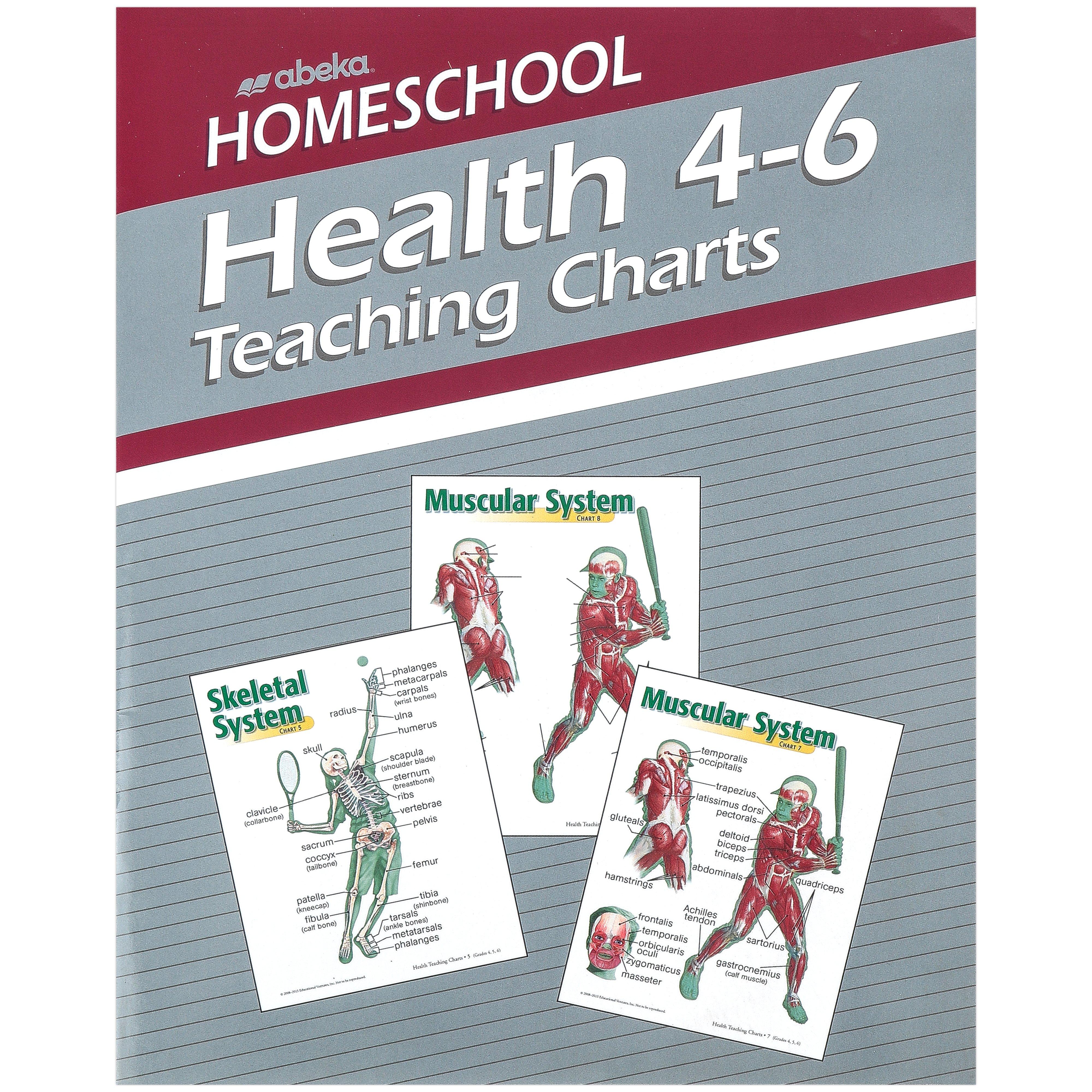 Abeka, Homeschool Health 4-6 Teaching Charts, Grades 4, 5, & 6 | Mardel ...