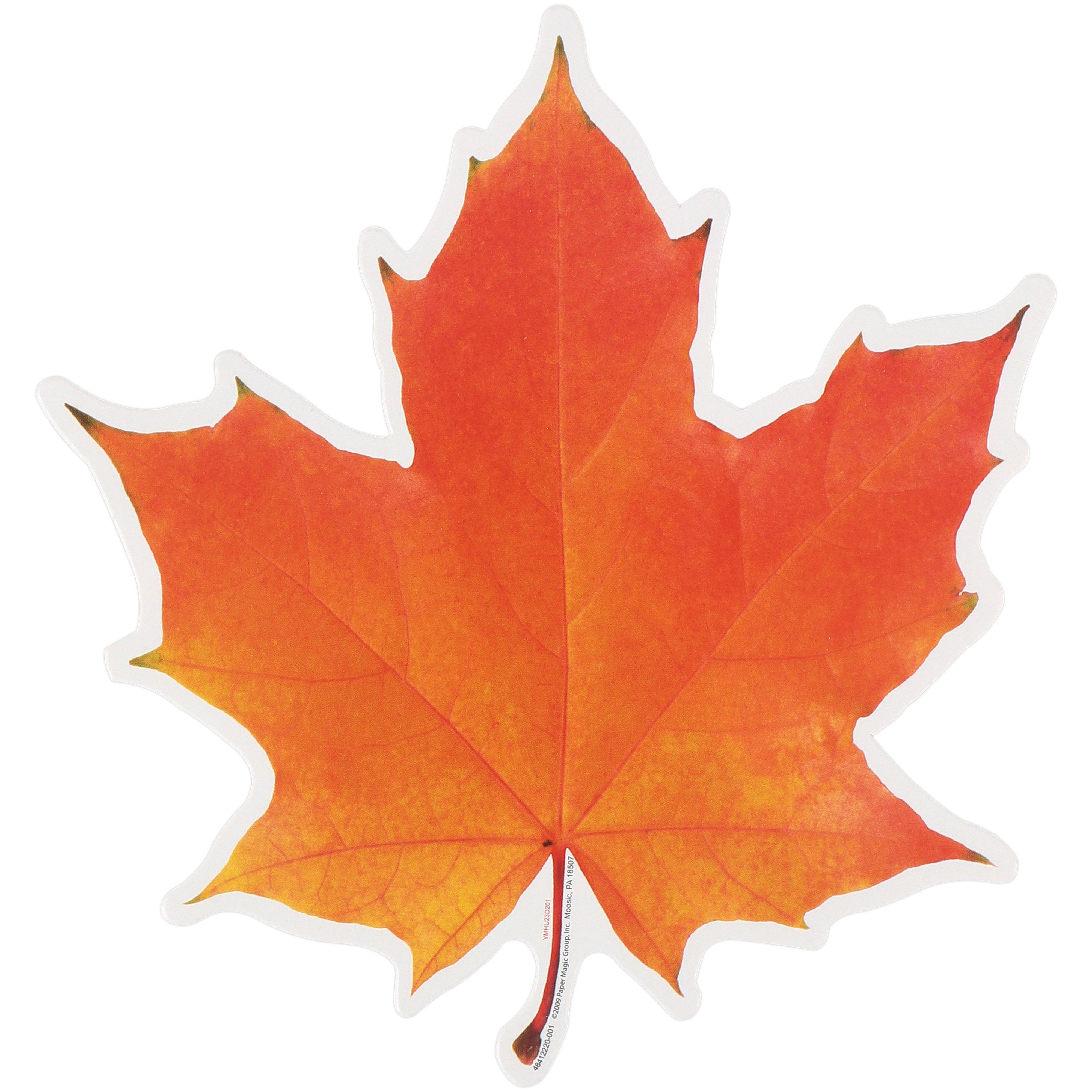 Photorealistic Fall Leaves Cutouts, 36 count | Mardel | 4163390