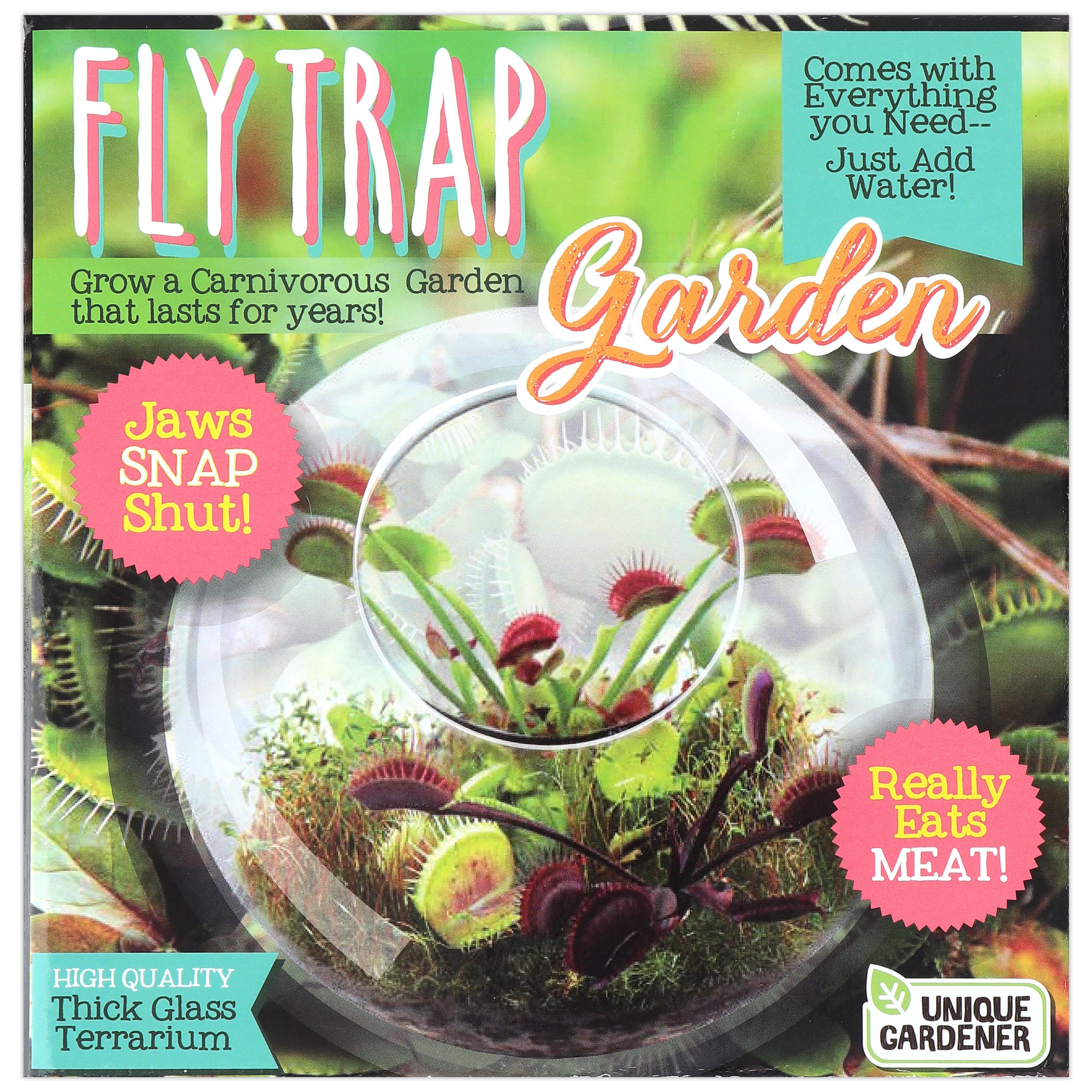 Venus Flytrap Grow Kit | Mardel | 4181970