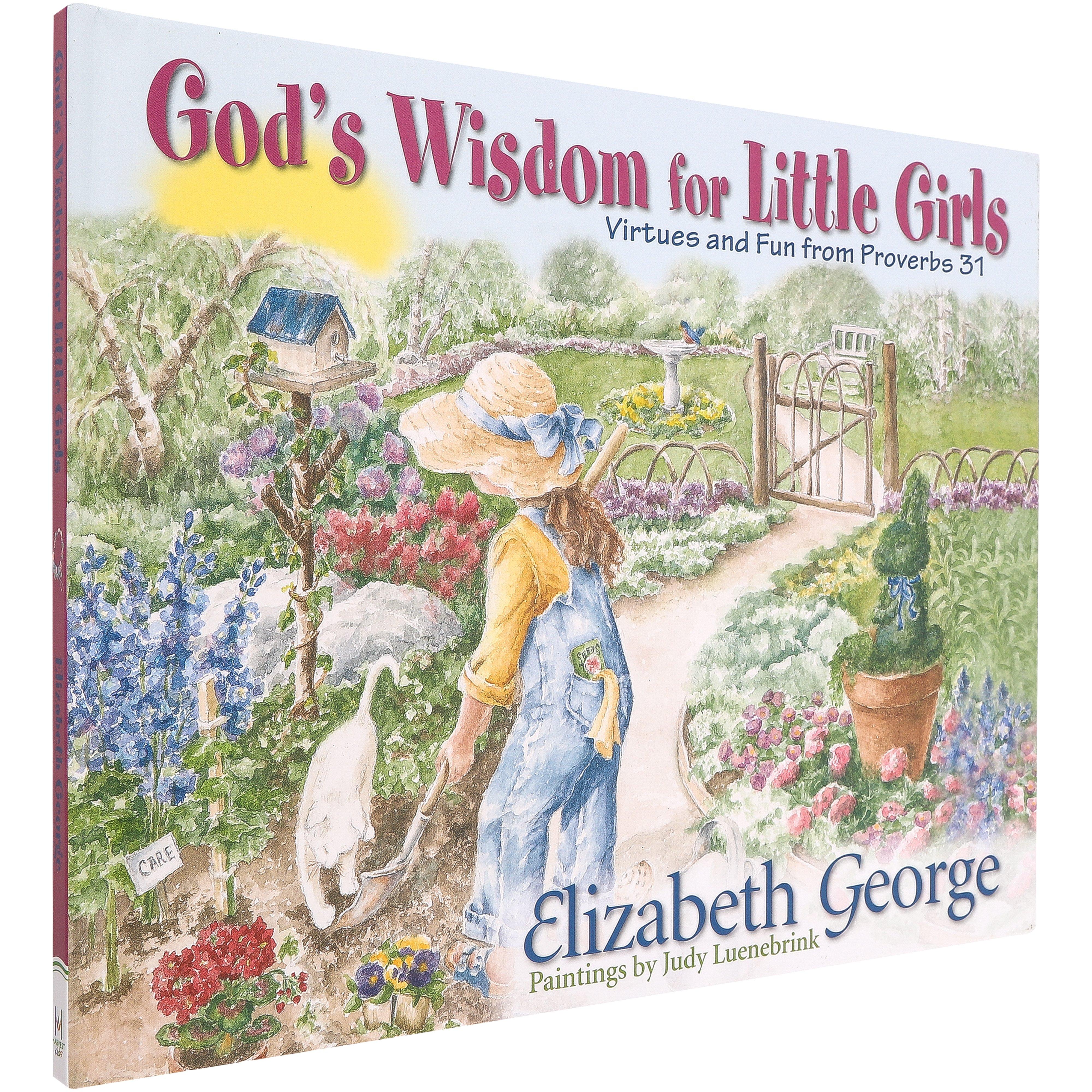 God's Wisdom for Little Girls: Virtues & Fun from Proverbs 31, by ...