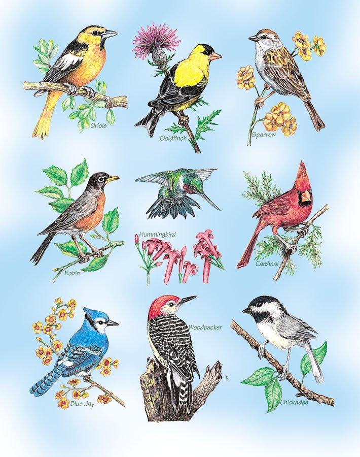 Birds Theme Stickers, 1 x 1 Inches, Pack of 120 | Mardel | 752675
