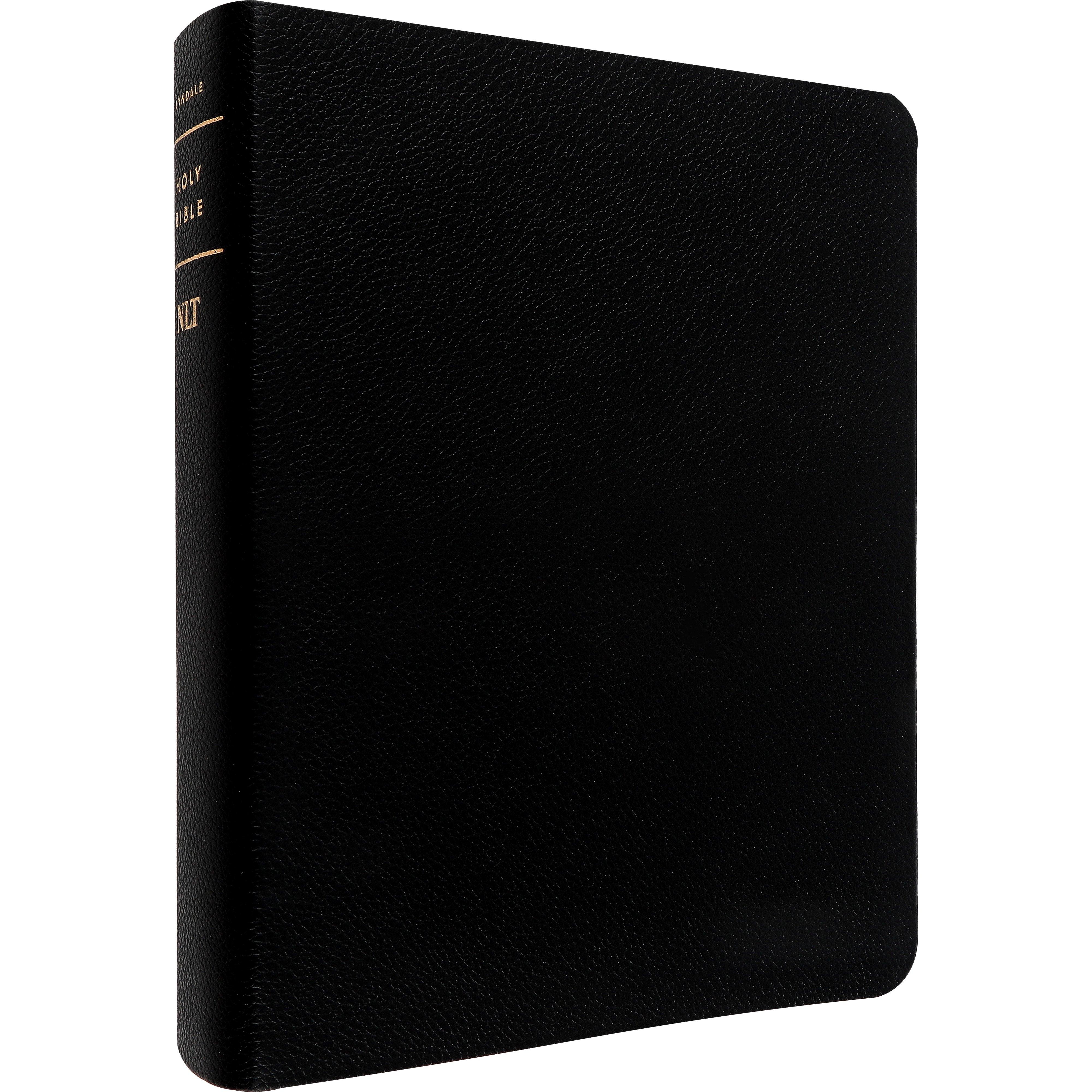 NLT - Bible Translations - Bibles | Mardel
