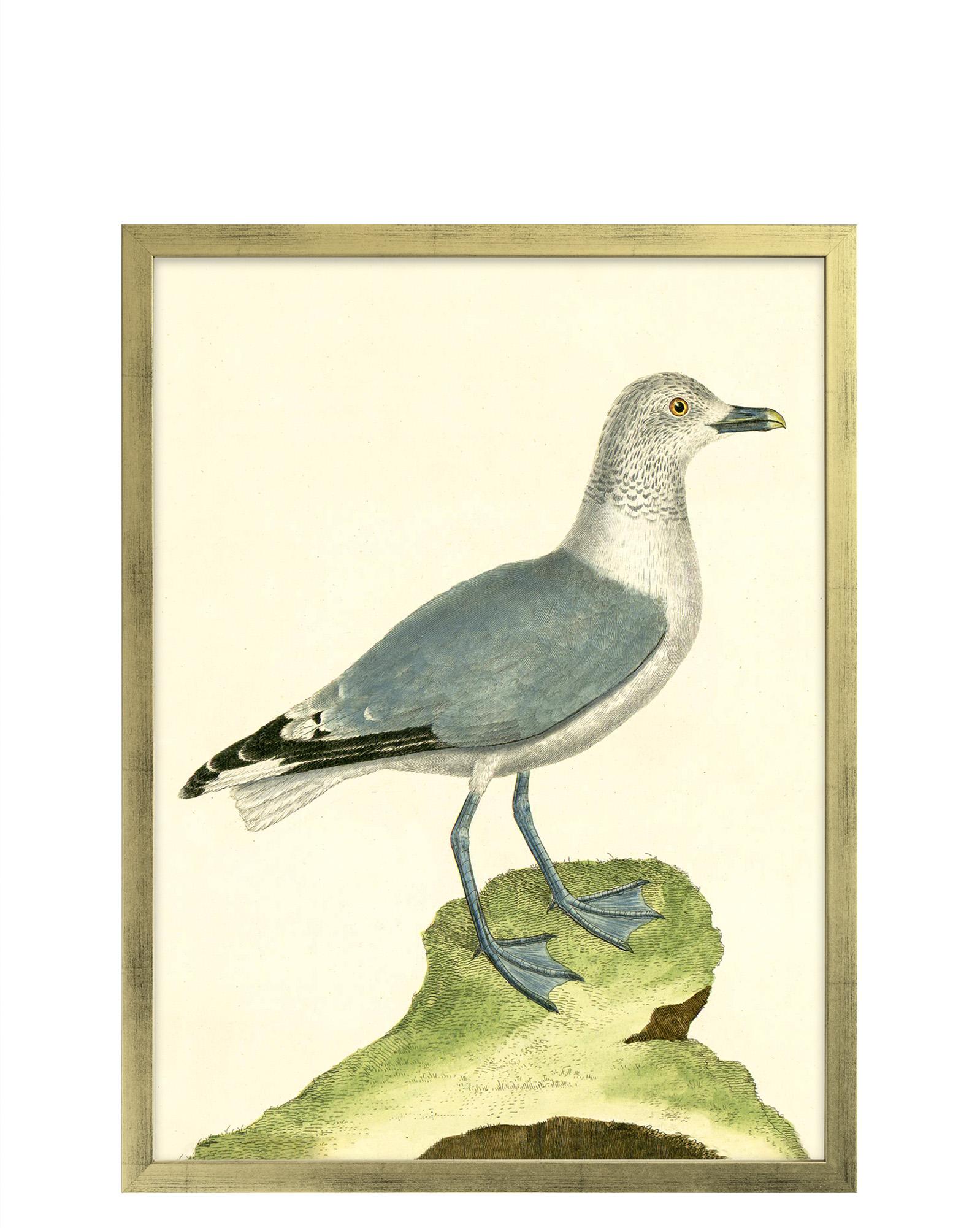 "Footed Gull Birds" in Gold Frame by Whalebone Creek | Serena and Lily