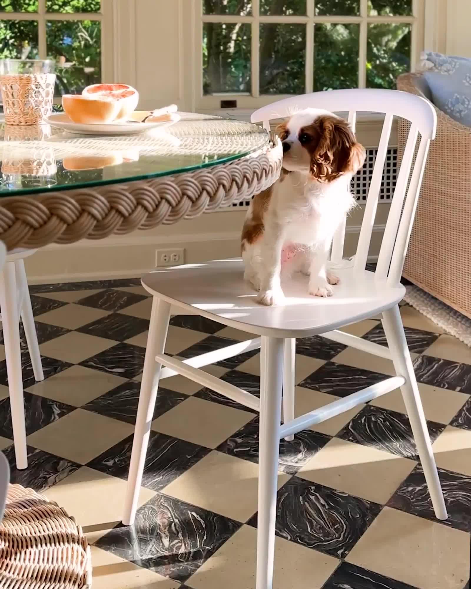 carter dining room white